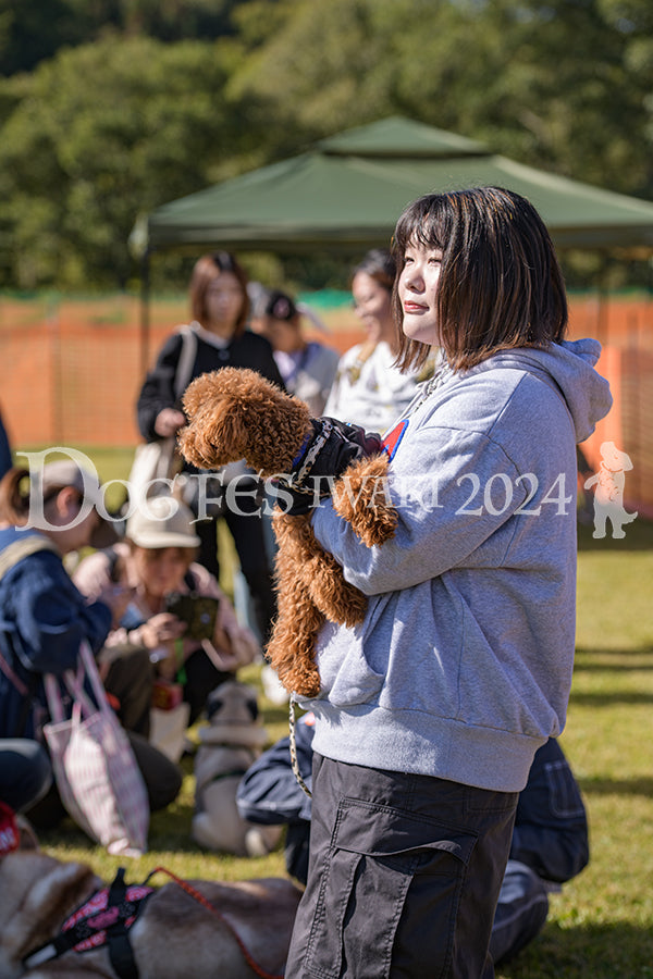 DFI2024-00581.jpg – DOG FES IWAKI